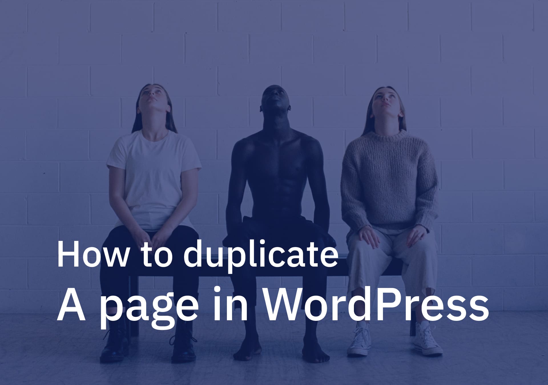 how-to-duplicate-a-page-in-wordpress